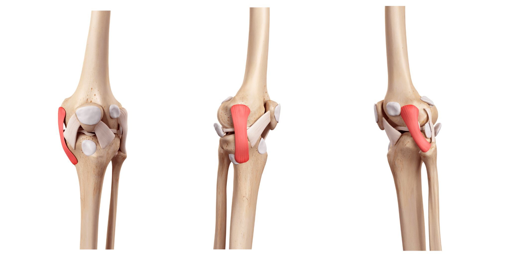 Knee Rehabilitation – Dublin Sports Injury Clinic